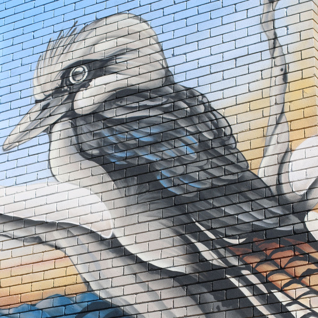 Mural Artist - Designer - Illustrator - Mike Shankster